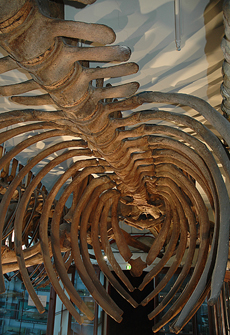 Sightlines by Kathleen Jamie – Word by Word