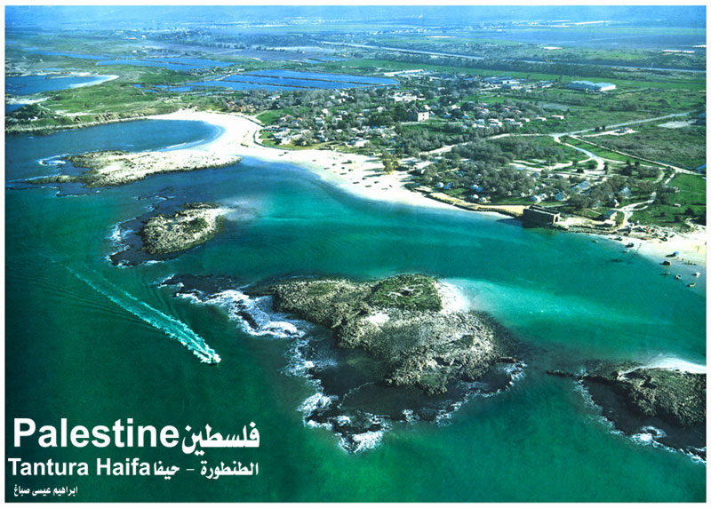 The Woman From Tantoura by Radwa Ashour (2010) – Word by Word