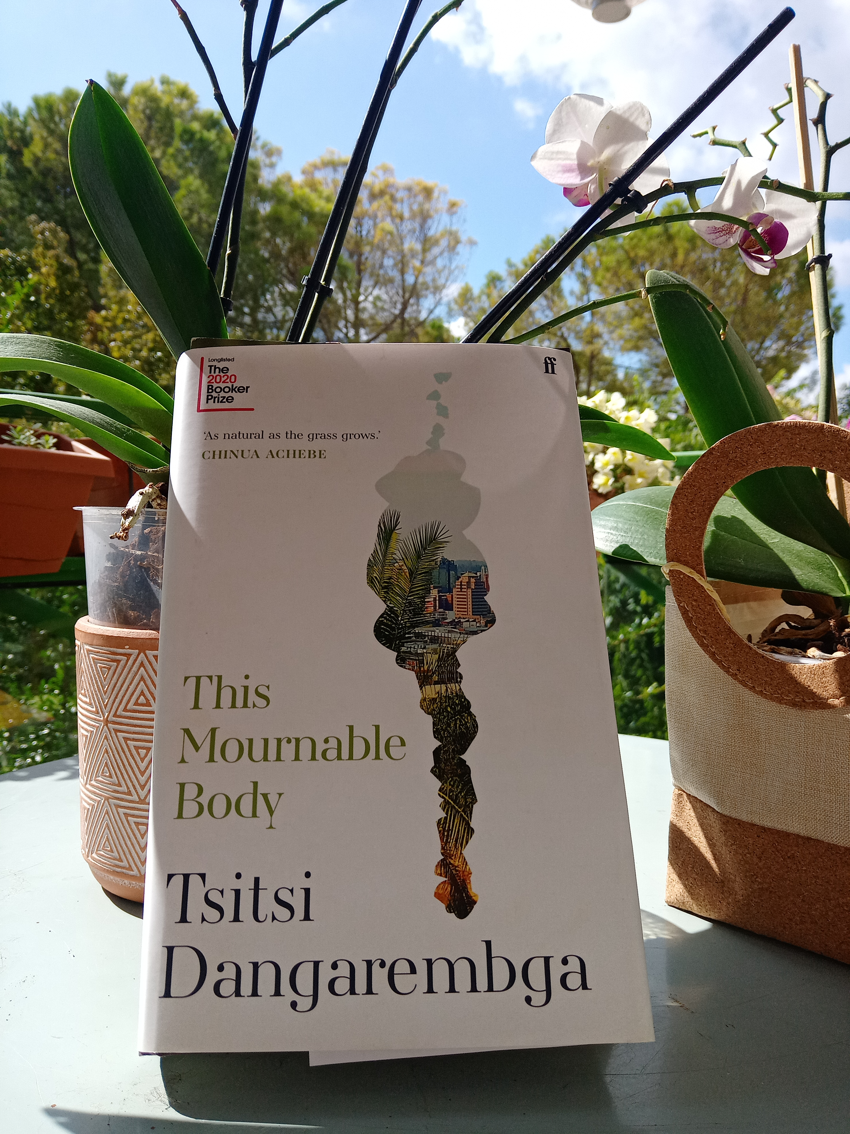 This Mournable Body by Tsitsi Dangarembga – Word by Word