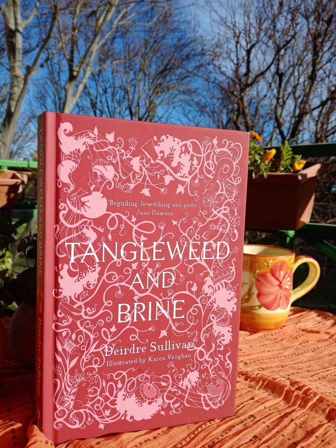 Tangleweed and Brine by Deirdre Sullivan – Word by Word